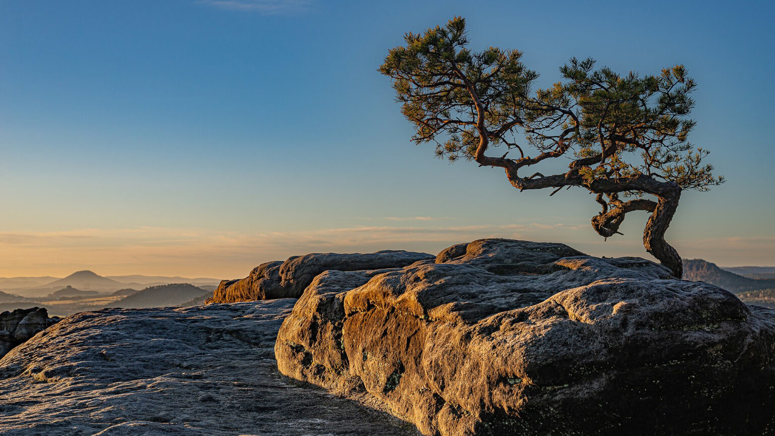 Wikimedia Commons Artikel | Wikimedia Deutschland