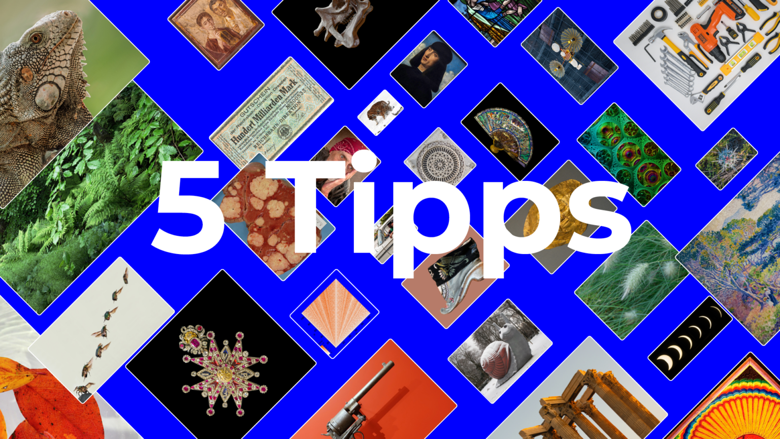 5 Praxistipps für die Bildersuche in Wikimedia Commons